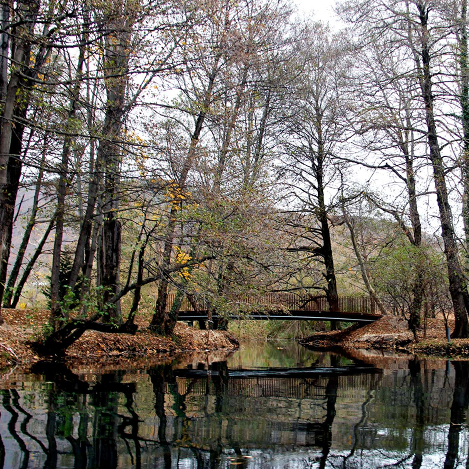 FINALISTS ROSA BARBA PRIZE 2025 | Biennal